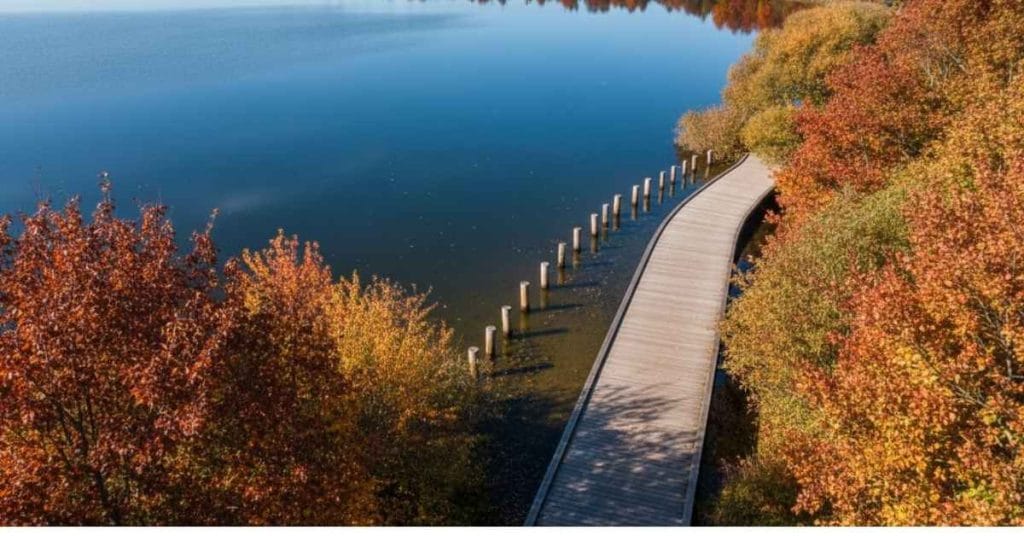 Furesø Lake: Discover Denmark’s Deepest and Most Enchanting Natural ...