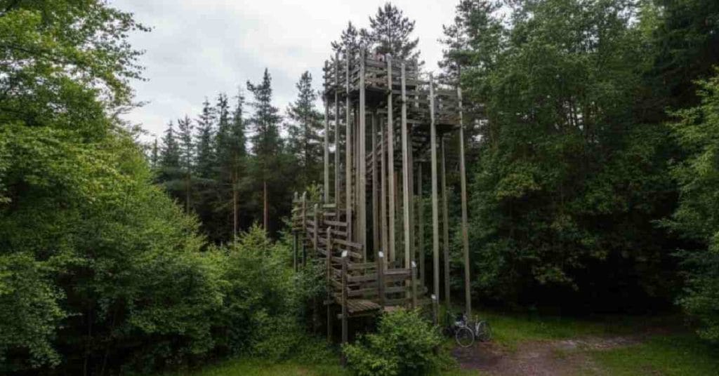 Rold Skov: Denmark’s Second-Largest Forest Worth Visiting