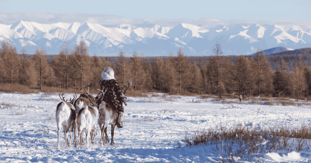 Rane Willerslev Survived the Mafia and Siberia’s Frozen Hell